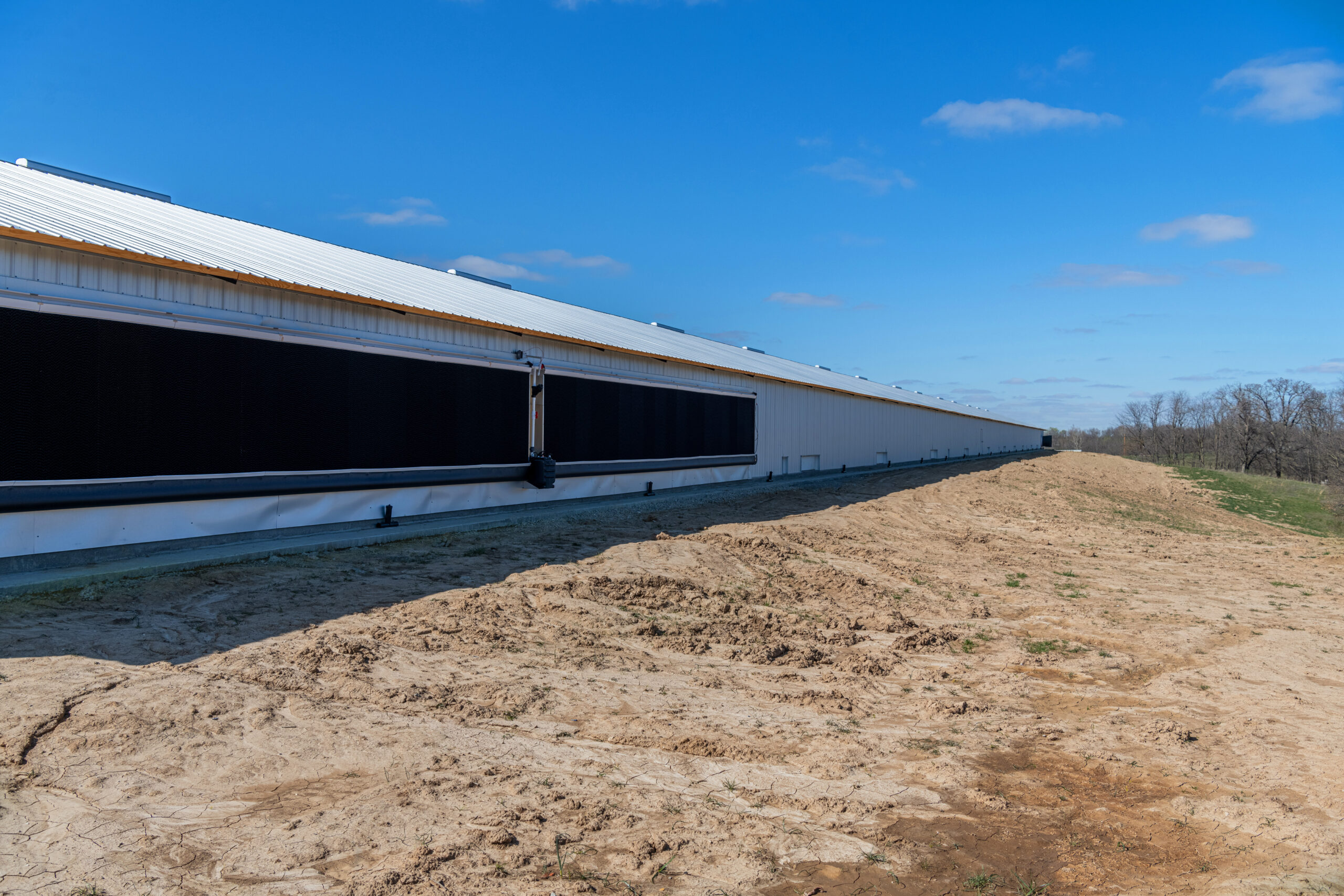 Commercial Free Range Layer House In Nelson, Missouri