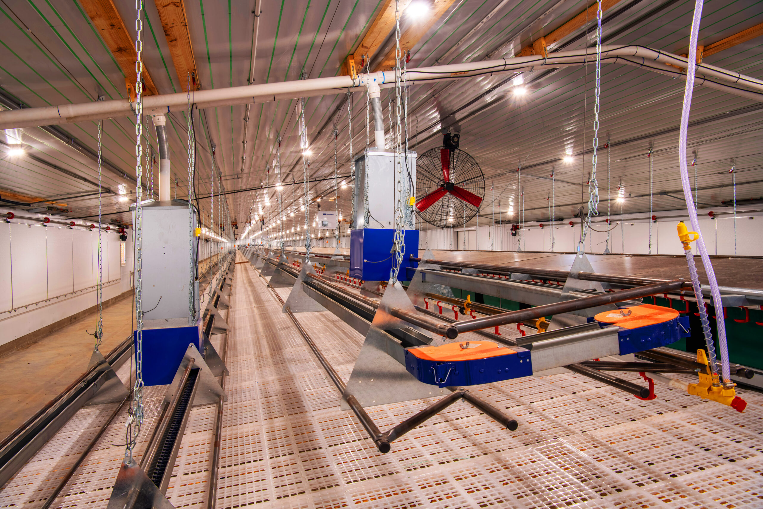 Commercial Pastured Egg Layer House In Windyville, MO