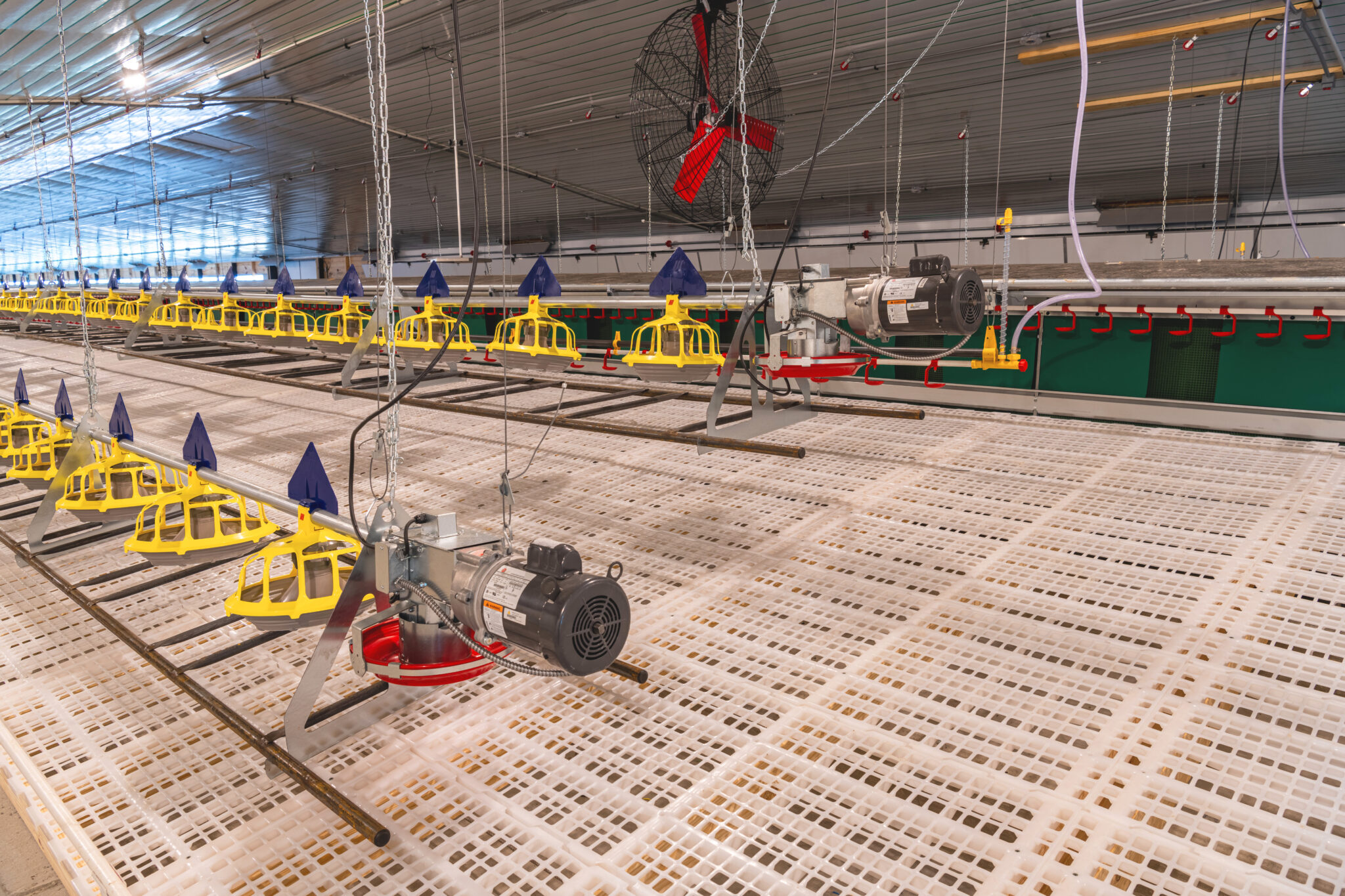 Commercial Pastured Layer House In El Dorado, MO