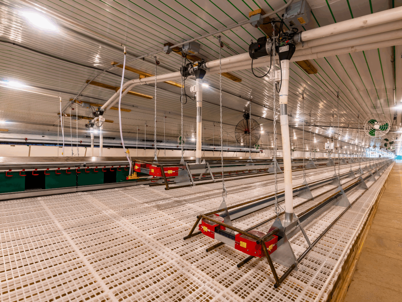 We Sell And Service Vencomatic Equipment In The Midwest | H3 Poultry